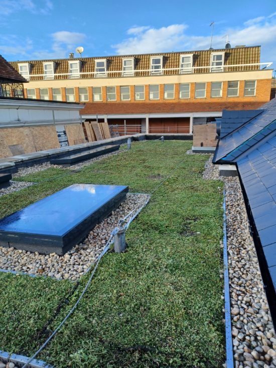 Green Roofs Case Study 03 | Shape Architecture Ltd