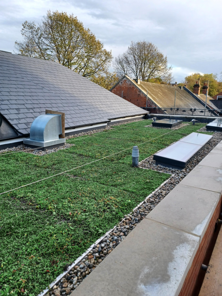 Colchester Community Centre | Shape Architecture Ltd