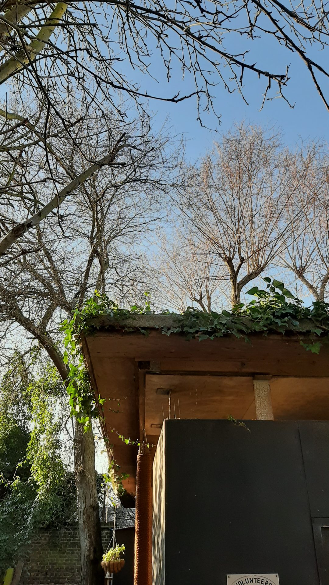 Environmental and Community Responsibility - Eco Shed 01 | Shape ...