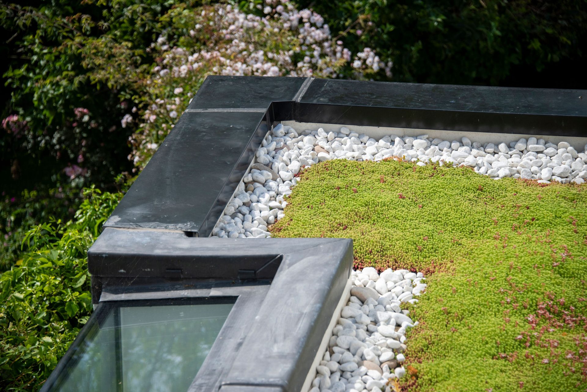 Shape Architecture Side Infill Extension, Brighton | Shape Architecture Ltd