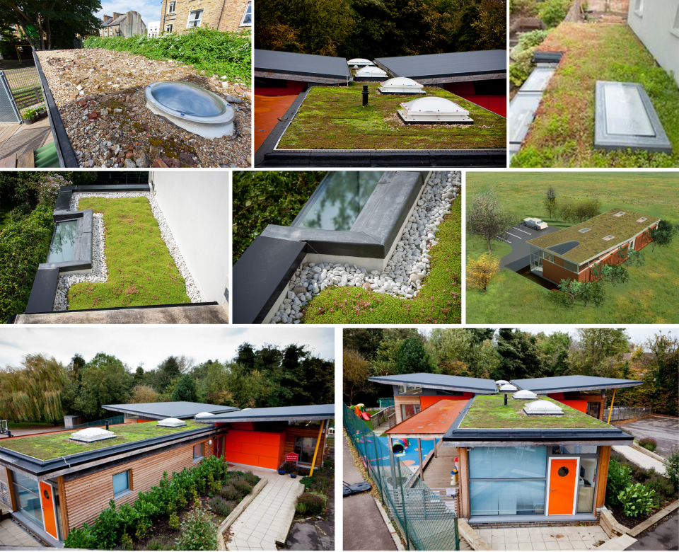 Biodiverse Roof Projects | Shape Architecture Ltd