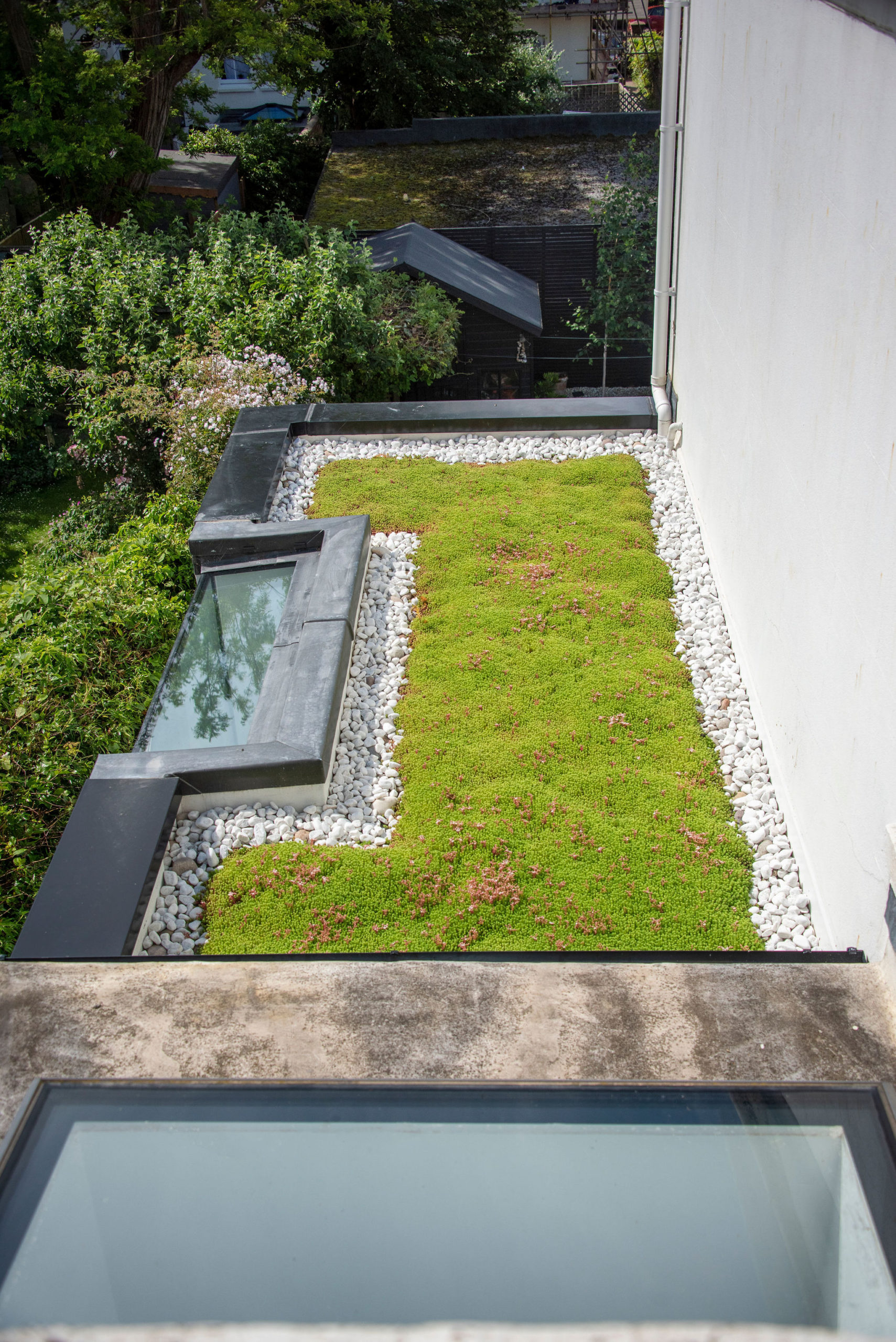 Green Roofs Case Study 02 | Shape Architecture Ltd